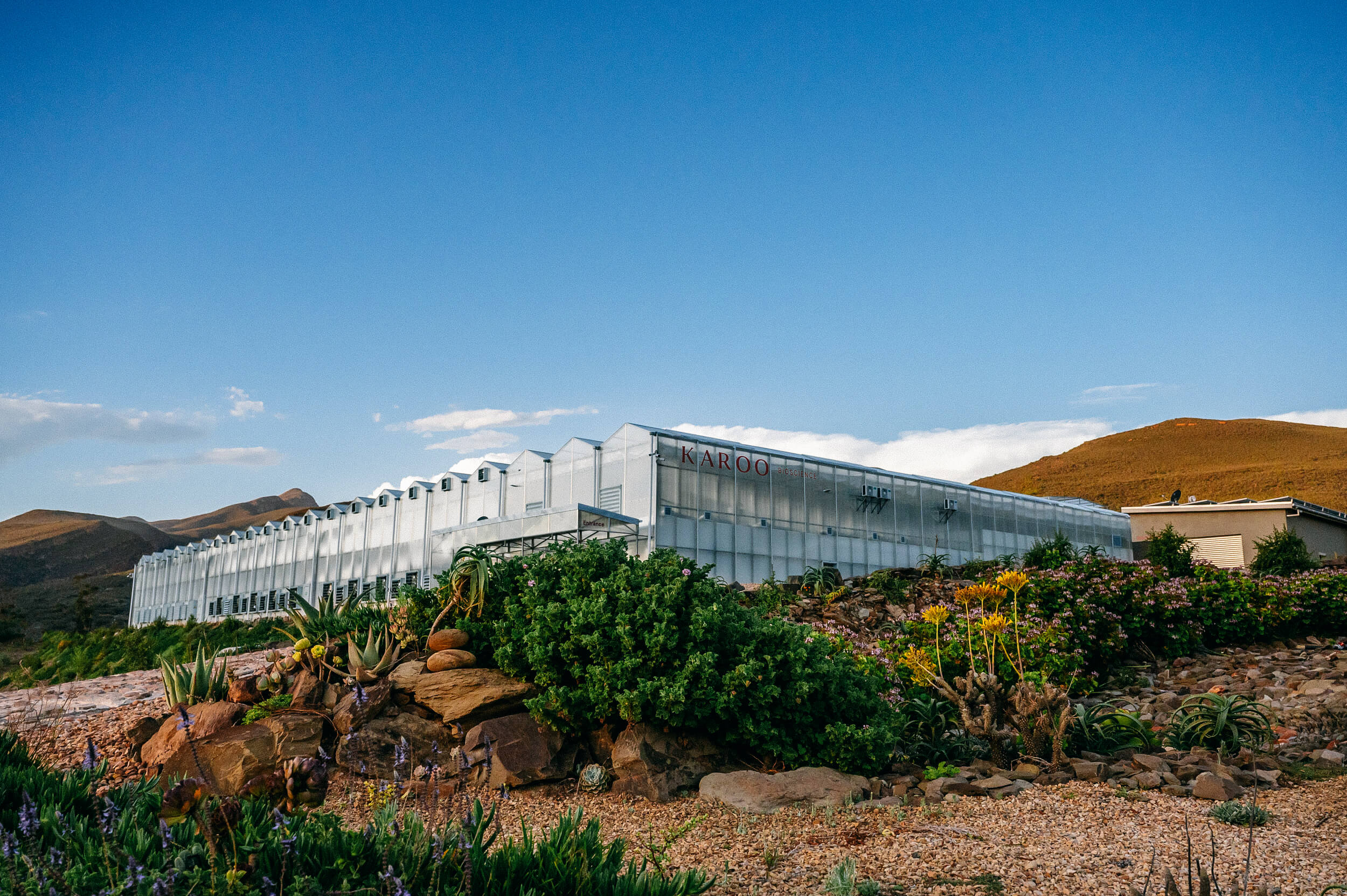 Karoo Bioscience FAQ